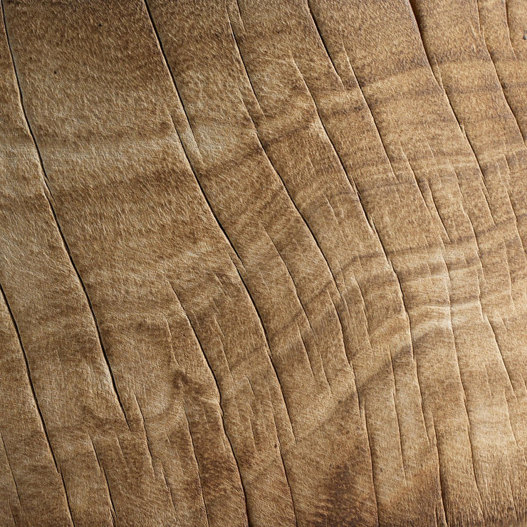 Shop All Decor – Pure Salt Shoppe