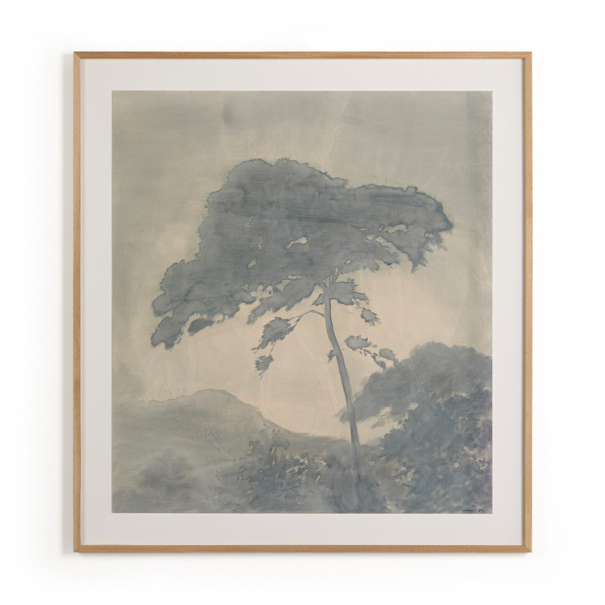 Canopy by Chelsea Fly – Pure Salt Shoppe